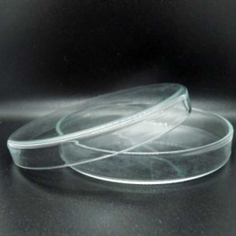 Petri Dish Glass 100mm - Love Science